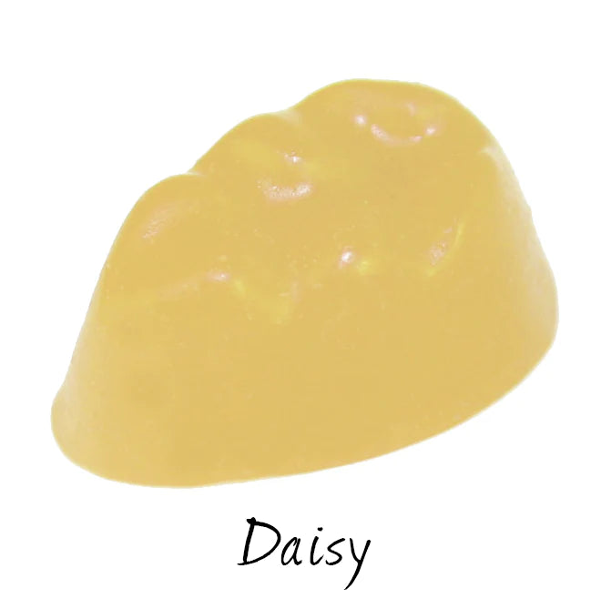 Daisy – Scentchips New Zealand